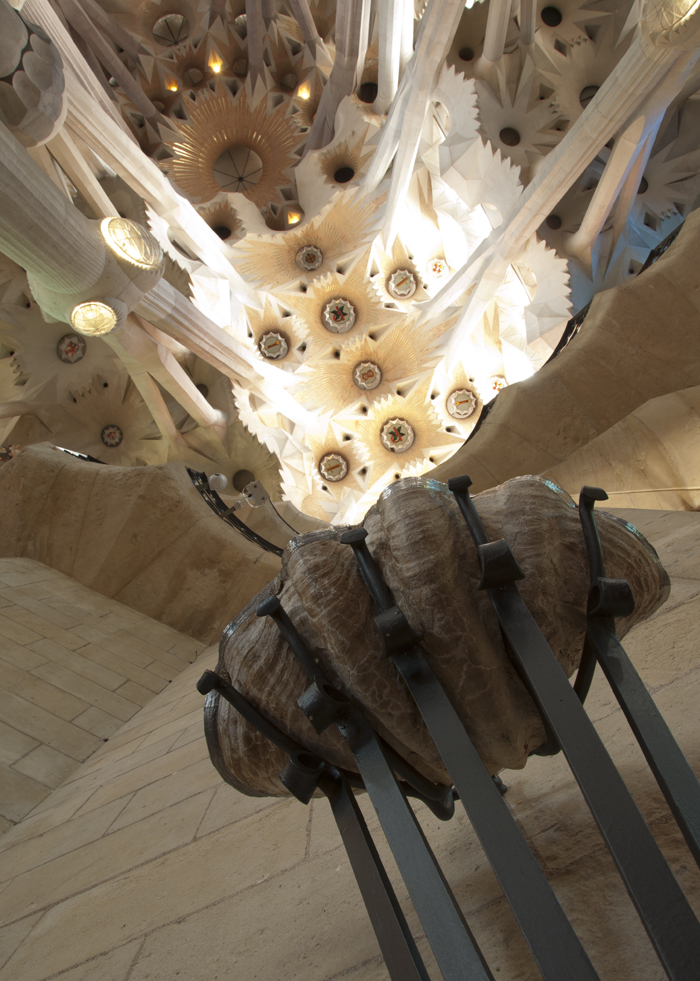 Church Ceilings, Around the World – Flocking Somewhere