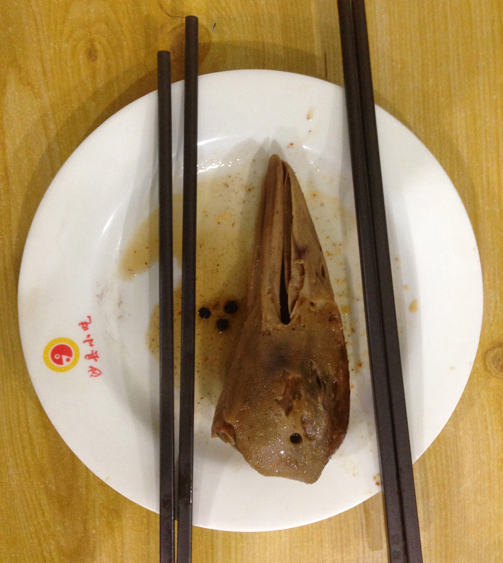 Shit-that-doesnt-fly-CHINA-1219 – Flocking Somewhere